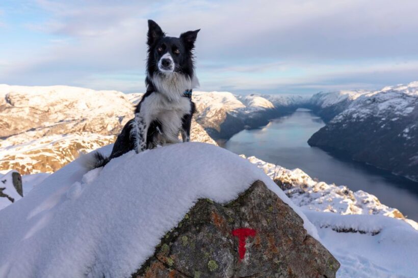 Stavanger: Preikestolen Winter Hike + Hot Lunch - Reaching the Cliff: The Views from Preikestolen
