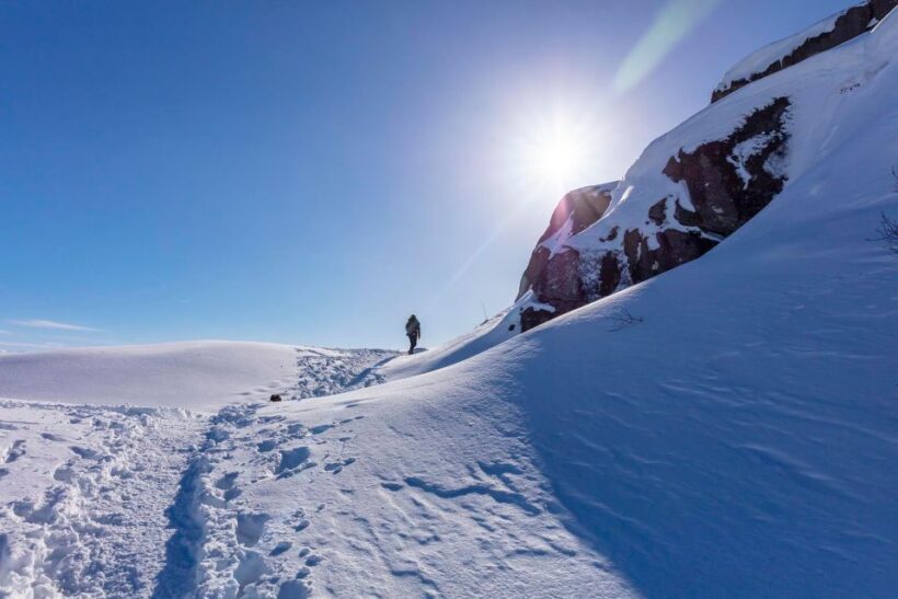 Stavanger: Preikestolen Winter Hike + Hot Lunch - Dining and Rest at Villa Rosehagen