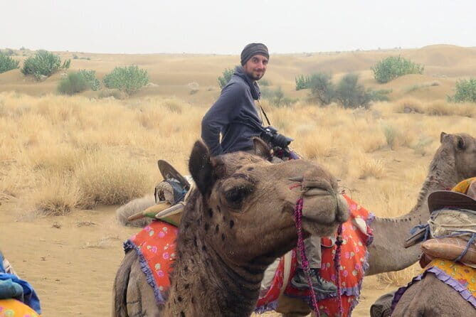 Stay Under The Billions Stars Overnight Camel Safari Tour - An In-depth Look at the Tour