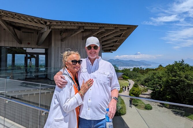 Step- Free Easy Going Tour From Shimizu Port / Sedan Taxi - Accessibility Features