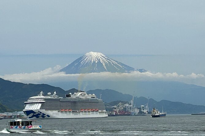 Step- Free Easy Going Tour From Shimizu Port / Sedan Taxi - Reviews and Ratings