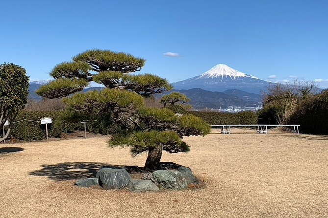 Step- Free Easy Going Tour From Shimizu Port / Sedan Taxi - Ryuge-ji Temple Experience