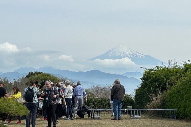 Step-Free Easy Going Tour From Shimizu Port / Van Taxi - Key Points