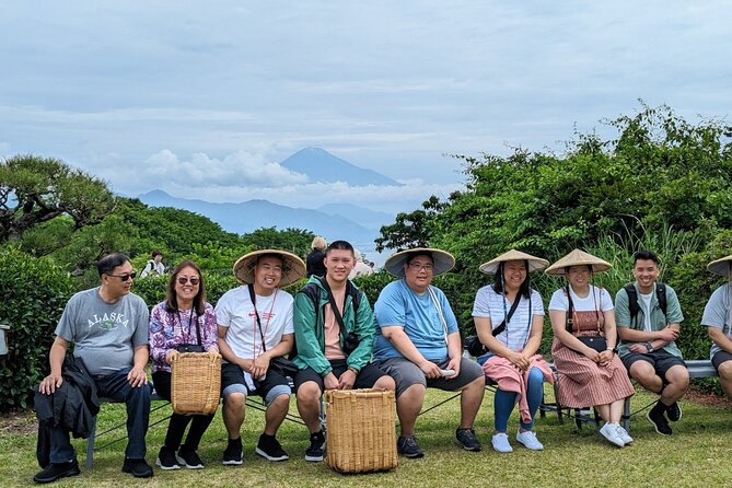 Step-Free Easy Going Tour From Shimizu Port / Van Taxi - Reviews and Feedback