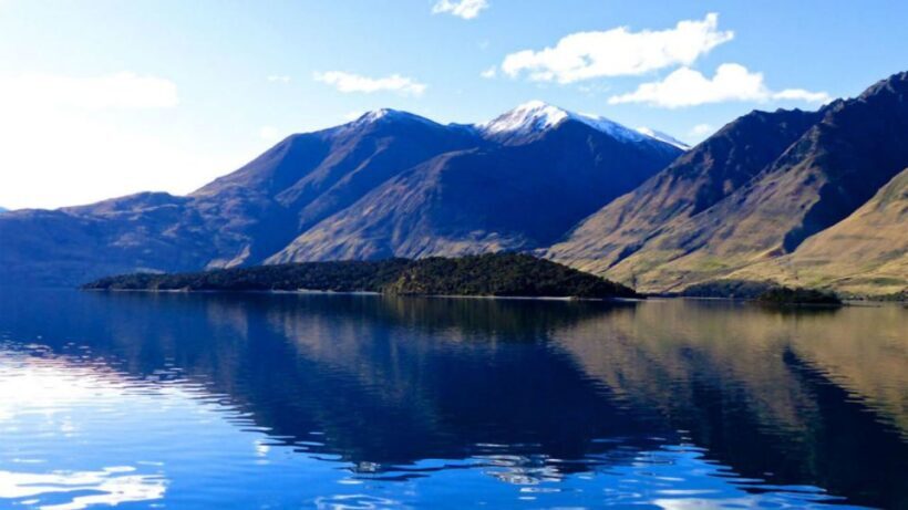 Stevensons Island 2-Hour Cruise and Nature Walk - The Cruise: Relaxing, Scenic, and Informative