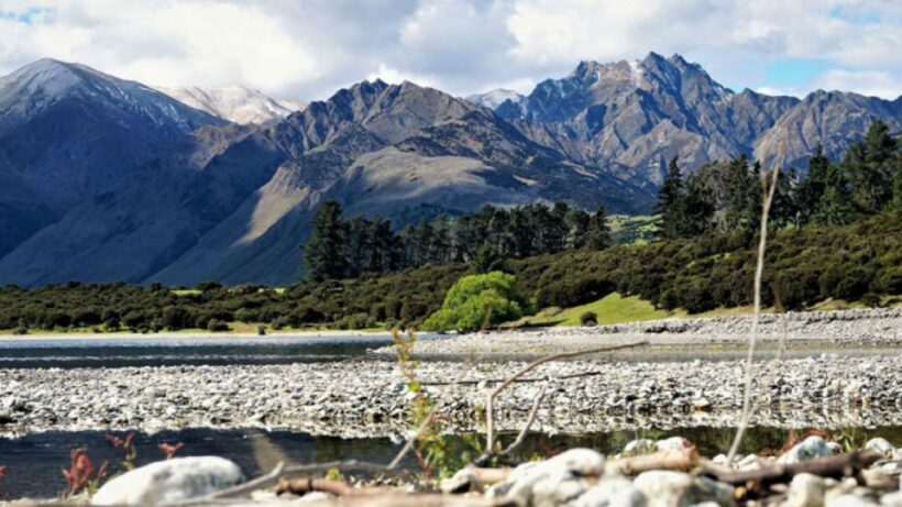 Stevensons Island 2-Hour Cruise and Nature Walk - What You’ll See and Experience on the Island