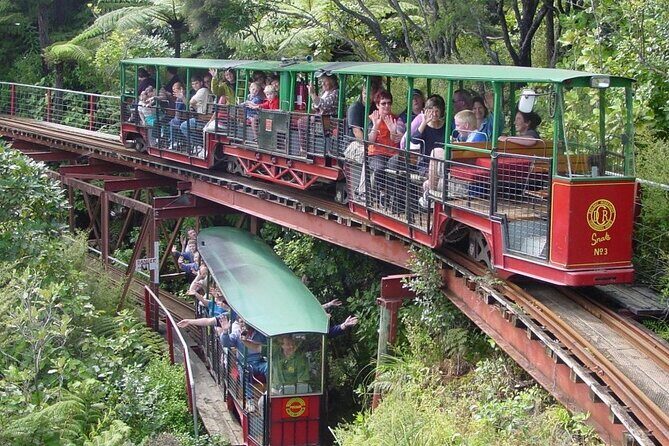 [Stevong Travel] West Coromandel Day Tour - A Detailed Look at the West Coromandel Day Tour
