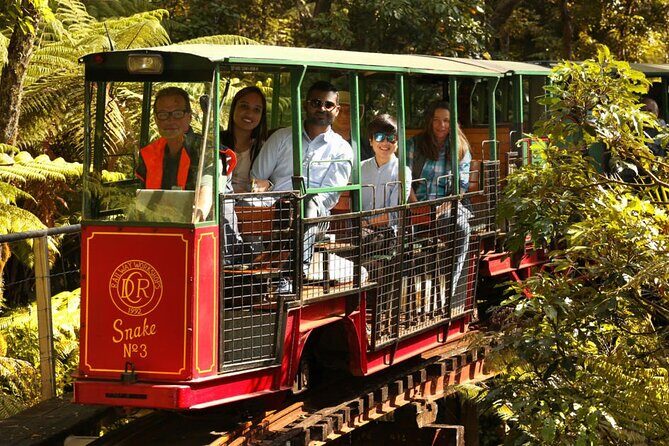 [Stevong Travel] West Coromandel Day Tour - Value and Who Will Love This Tour