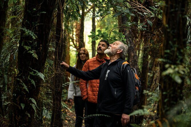 Stewart Island Guided Wilderness Walk - What Travelers Say