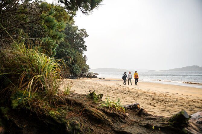 Stewart Island Guided Wilderness Walk - The Sum Up