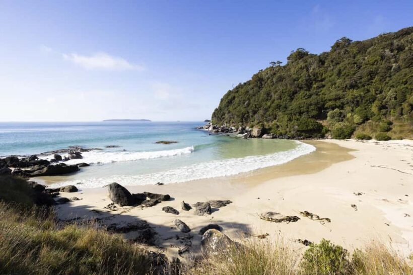 Stewart Island: Guided Wilderness Walk - Key Points