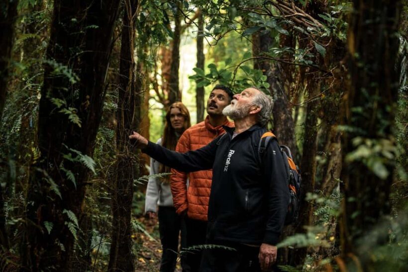 Stewart Island: Guided Wilderness Walk - An Authentic Wilderness Experience on Stewart Island