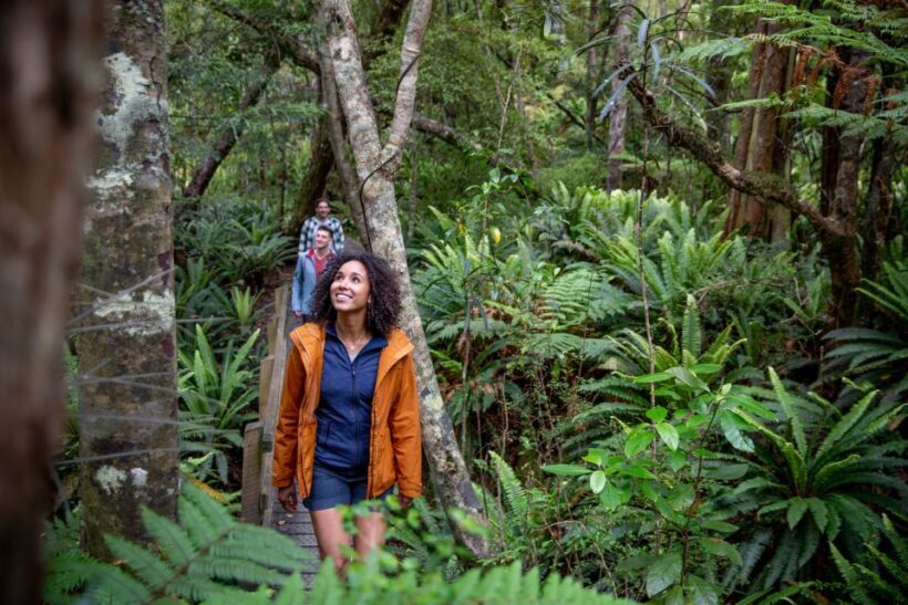 Stewart Island: Ulva Island Guided Wilderness Walk & Cruise - Exploring Stewart Island: Ulva Island Guided Wilderness Walk & Cruise