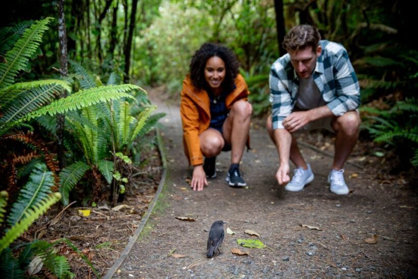 Stewart Island: Ulva Island Guided Wilderness Walk & Cruise - The Value of This Tour
