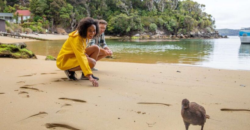 Stewart Island: Ulva Island Guided Wilderness Walk & Cruise - The Sum Up