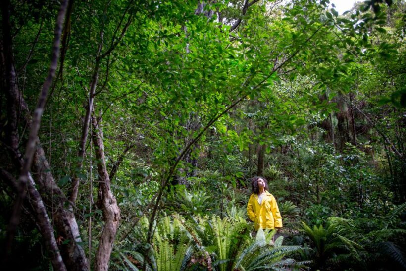 Stewart Island: Ulva Island Guided Wilderness Walk & Cruise - Key Points