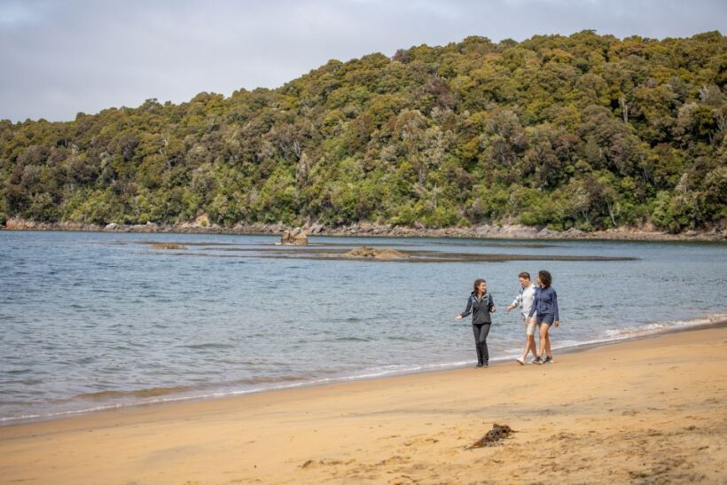Stewart Island: Ulva Island Guided Wilderness Walk & Cruise - The Value of the Experience