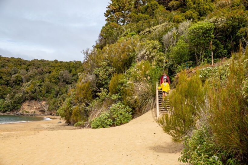 Stewart Island: Ulva Island Guided Wilderness Walk & Cruise - Guides and Wildlife: What Makes the Tour Special
