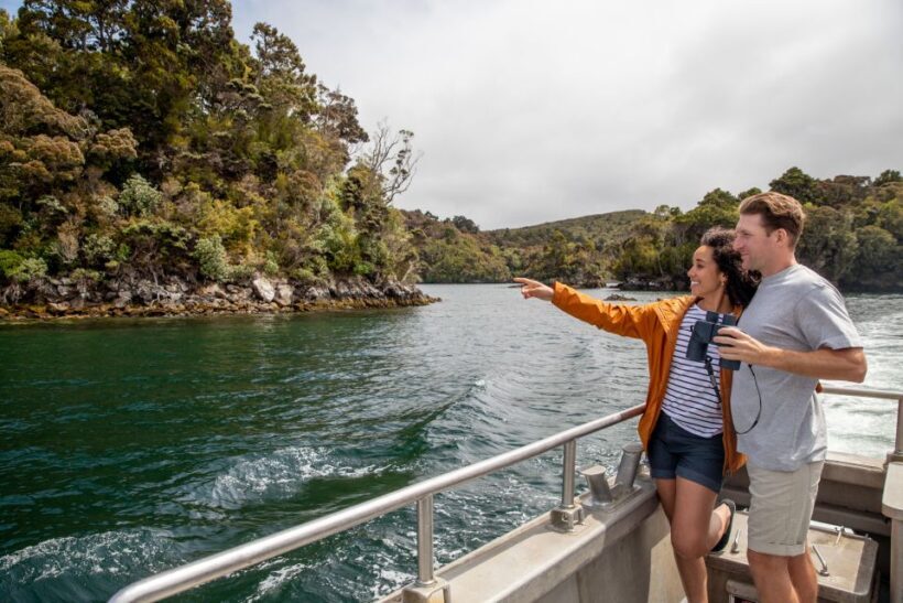 Stewart Island: Ulva Island Guided Wilderness Walk & Cruise - Practical Tips for Travelers