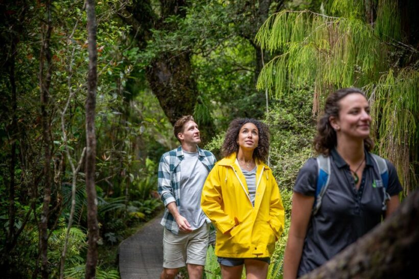 Stewart Island: Ulva Island Guided Wilderness Walk & Cruise - The Sum Up: Who Will Love This Tour?
