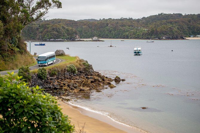 Stewart Island: Village and Bays Tour - Final Thoughts