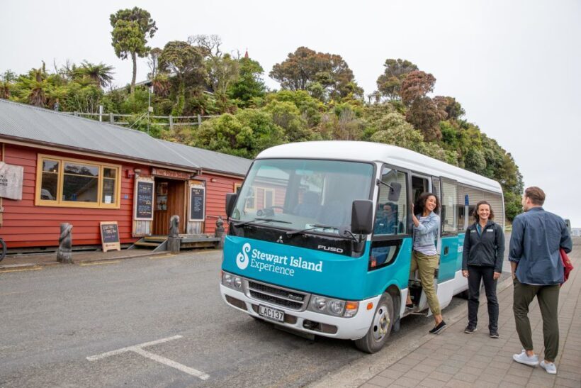 Stewart Island: Village and Bays Tour - Practical Tips for Travelers