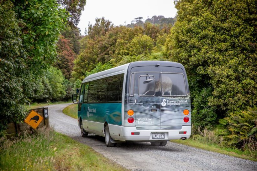 Stewart Island: Village and Bays Tour - Who Will Love This Tour?