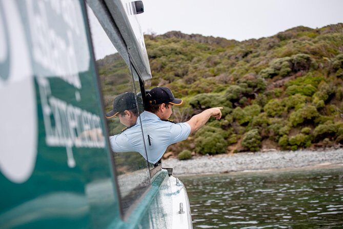 Stewart Island Wild Kiwi Experiences - Final Thoughts: Is It Worth It?