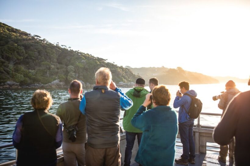 Stewart Island: Wild Kiwi Experiences - Key Points