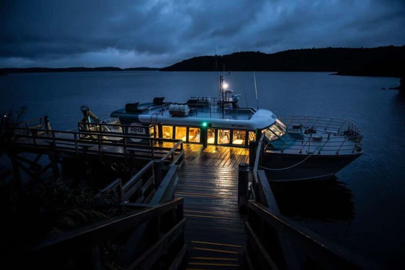 Stewart Island: Wild Kiwi Experiences - Practical Details and Considerations