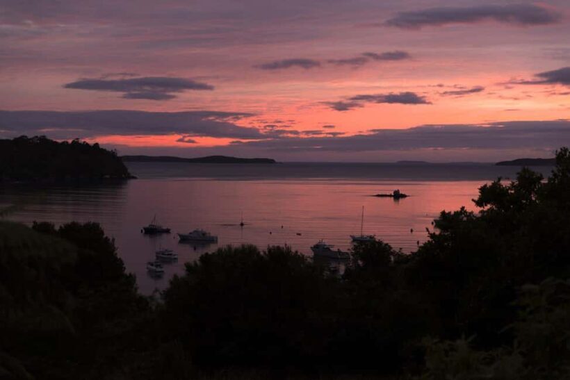 Stewart Island: Wild Kiwi Experiences - What to Bring and Wear