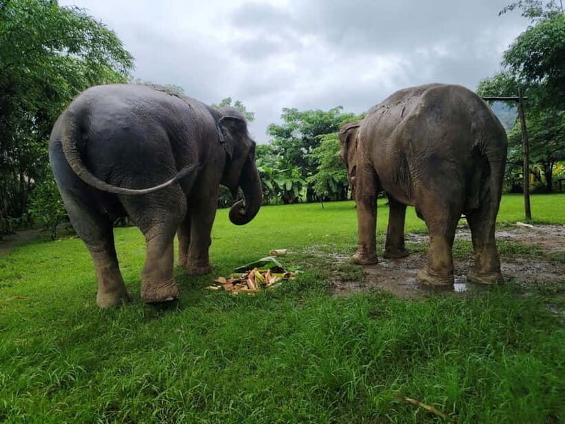 Sticky waterfalls- Elephants- Bamboo or White water rafting. - What’s Included and What’s Not
