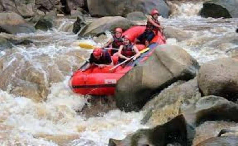 Sticky waterfalls- Elephants- Bamboo or White water rafting. - Who Will Enjoy This Tour?