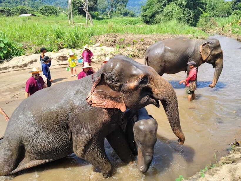 Sticky waterfalls- Elephants- Bamboo or White water rafting. - The Sum Up