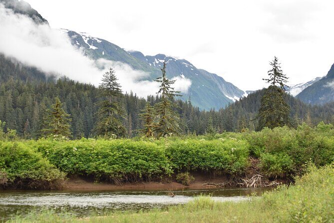 Stikine River Wilderness Tour - Why This Tour Excels