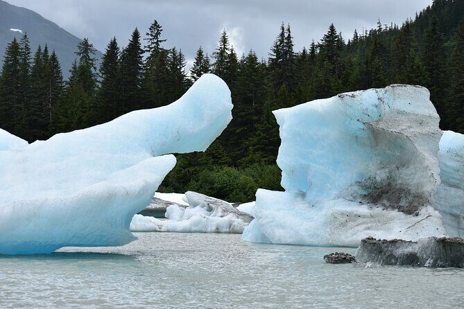 Stikine River Wilderness Tour - Frequently Asked Questions