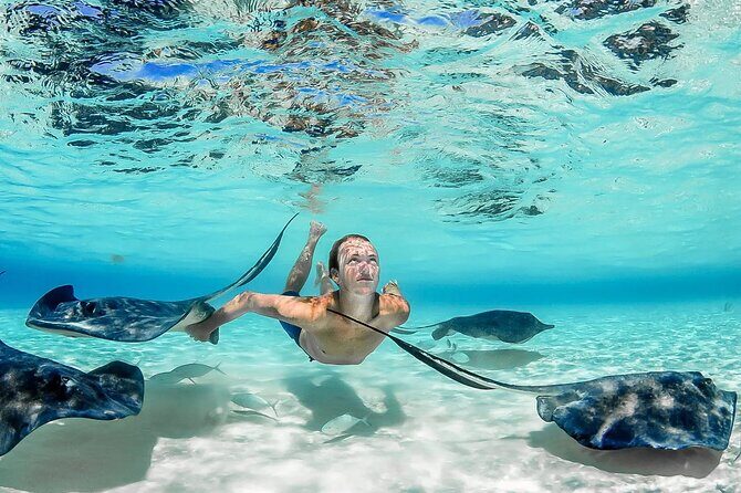 Stingray City and Two Reef Snorkeling Cayman Adventure - A Deep Dive into the Experience