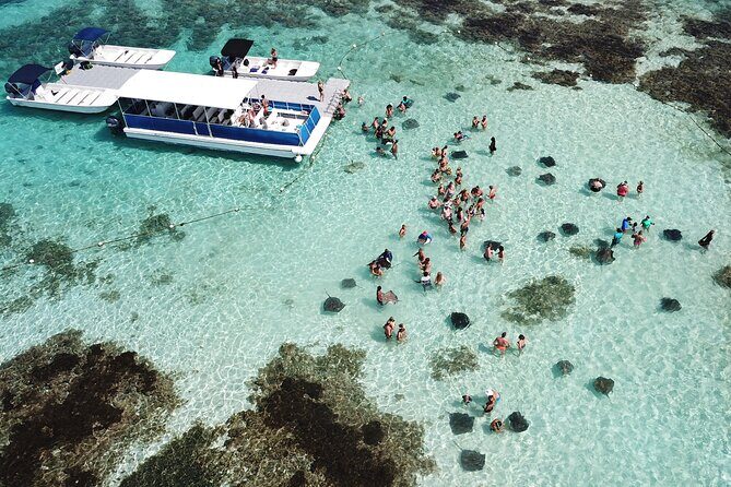 Stingray City Antigua for all the ages - ROUND TRIP INCLUDED - Key Points