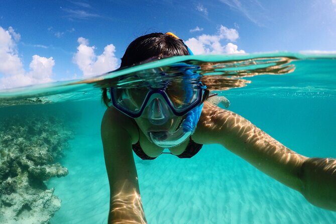 Stingray City Antigua for all the ages - ROUND TRIP INCLUDED - Timing and Booking Tips