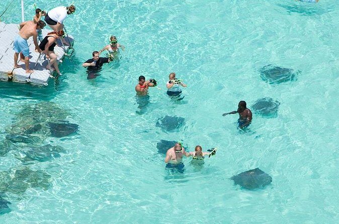 Stingray City - Real Traveler Experiences