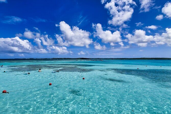 Stingray City Experience Antigua - Cruise Ship Passengers Edition - The Crowd and Group Size