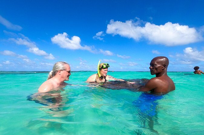 Stingray City Experience Antigua - Cruise Ship Passengers Edition - Who Should Consider This Tour?