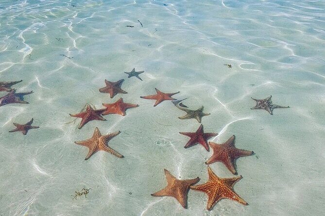 Stingray City Experience Plus Two Snorkeling spots Private Boat - Pricing and Value