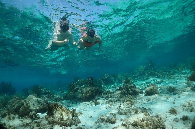 Stingray City Sandbar, Snorkel, Star fish Beach (Family operated) - Authenticity and Safety