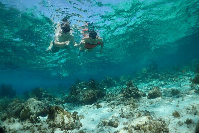 Stingray City Sandbar, Snorkel, Star fish Beach (Family operated) - The Sum Up