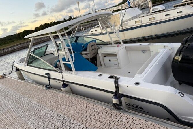 Stingray City, Star fish Point and Snorkeling Private Boat Tour - The Comfort and Practicalities