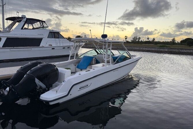 Stingray City, Star fish Point and Snorkeling Private Boat Tour - The Value Proposition