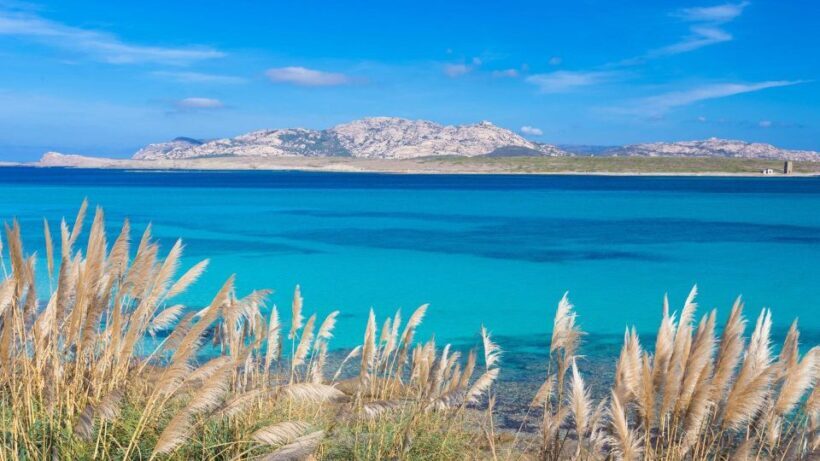 Stintino: Half-day catamaran tour to La Pelosa with aperitif - The Authentic Experience and Practical Details
