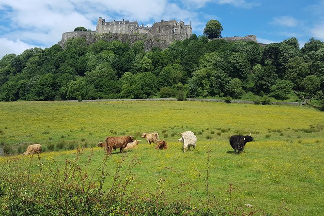 Stirling Castle, Trossachs and Loch Lomond Shore Excursion - Meeting and Departure Details