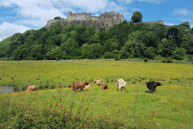 Stirling Castle, Trossachs, Loch Lomond and Whisky Tour - Value and Pricing: Does it Deliver?